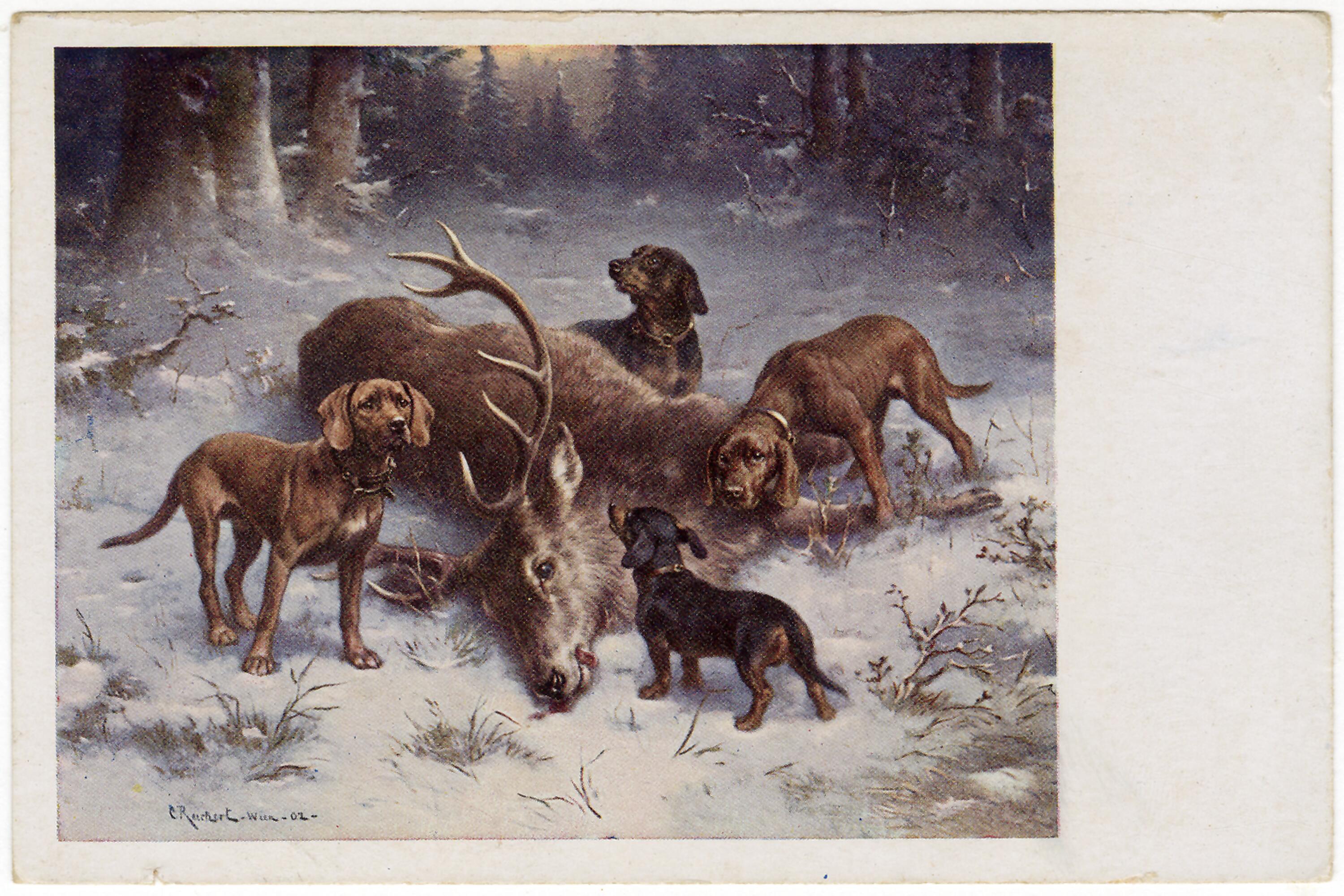 Ansichtspostkarte, Jagdhunde mit erlegtem Wild, ungelaufen ...